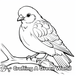 Pigeon Coloring Pages - Free & Printable!