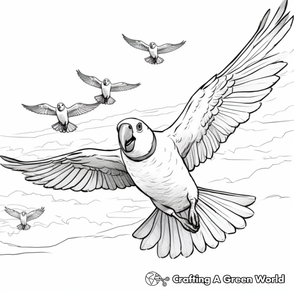 Macaw Coloring Pages - Free & Printable!