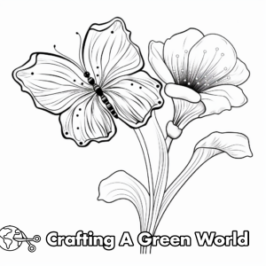 Half Butterfly Half Flower Coloring Pages - Free & Printable!
