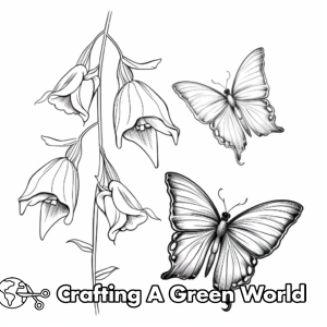Half Butterfly Half Flower Coloring Pages - Free & Printable!