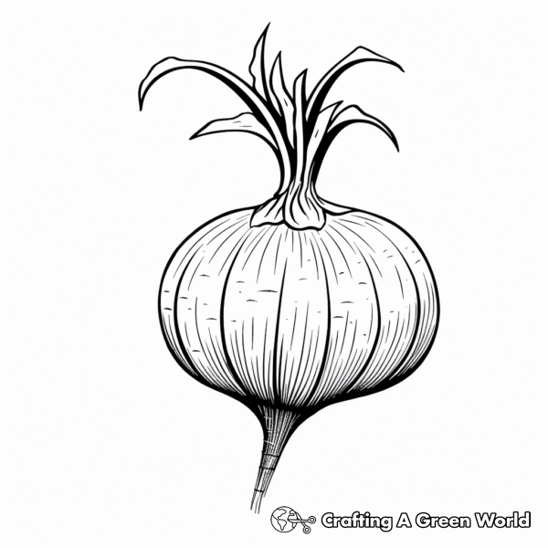 Onion Coloring Pages - Free & Printable!