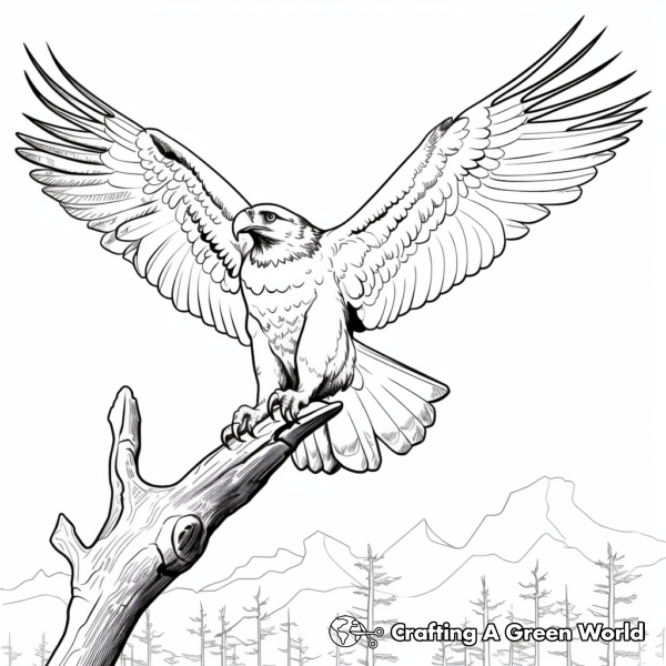 Osprey Coloring Pages - Free & Printable!
