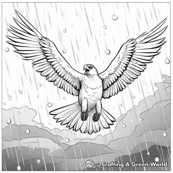 Osprey Coloring Pages - Free & Printable!