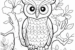 Owl Coloring Pages - Free & Printable!