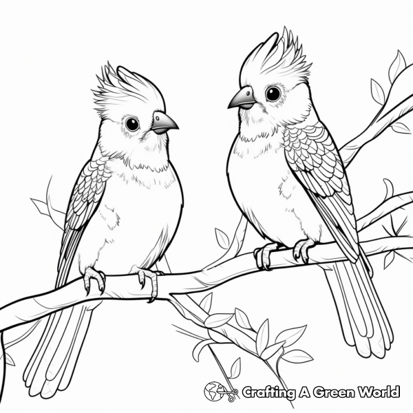 Cockatiel Coloring Pages - Free & Printable!