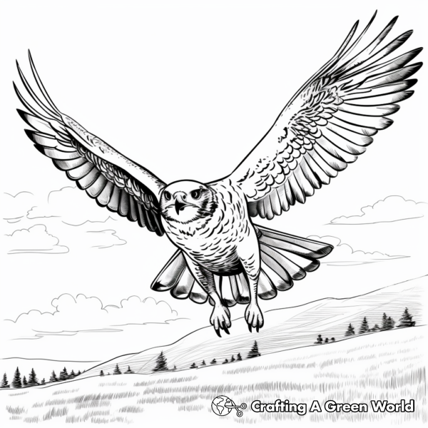 Falcon Coloring Pages - Free & Printable!