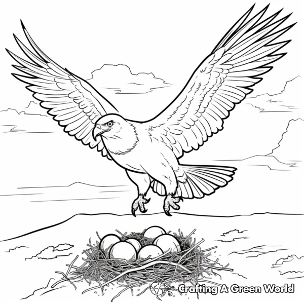 Osprey Coloring Pages - Free & Printable!