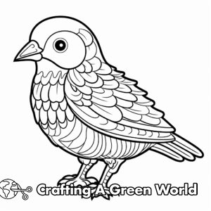American Goldfinch Coloring Pages - Free & Printable!