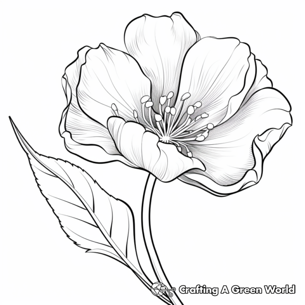 Black & White Flowers Coloring Pages - Free & Printable!