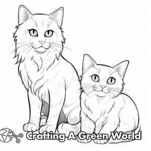 Two Cats Coloring Pages - Free & Printable!