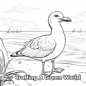 Seagull Coloring Pages - Free & Printable!
