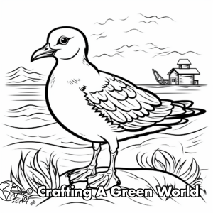 Seagull Coloring Pages - Free & Printable!