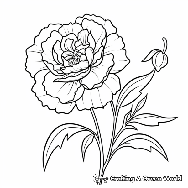 Peony Coloring Pages - Free & Printable!