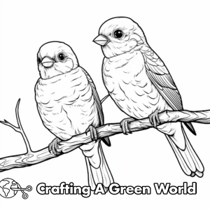 American Goldfinch Coloring Pages - Free & Printable!