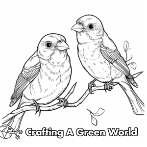 American Goldfinch Coloring Pages - Free & Printable!