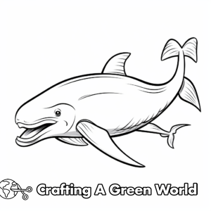 Blue Whale Coloring Pages - Free & Printable!