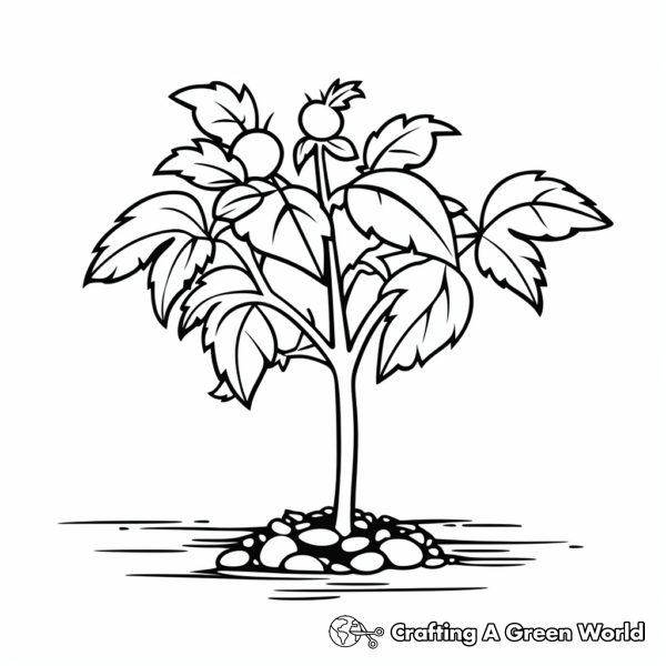 Fruit And Vegetables Coloring Pages - Free & Printable!