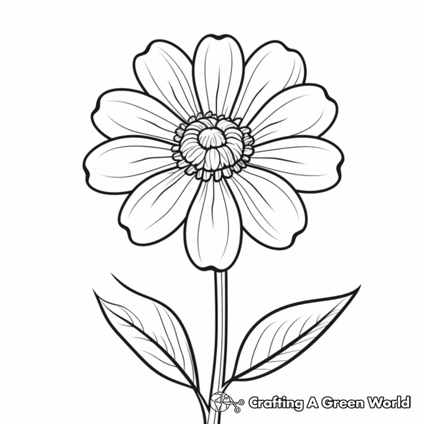 Zinnia Coloring Pages - Free & Printable!