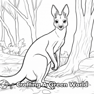 Wallaby Coloring Pages - Free & Printable!