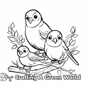 American Goldfinch Coloring Pages - Free & Printable!