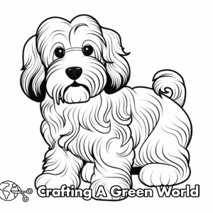 Havanese Coloring Pages - Free & Printable!