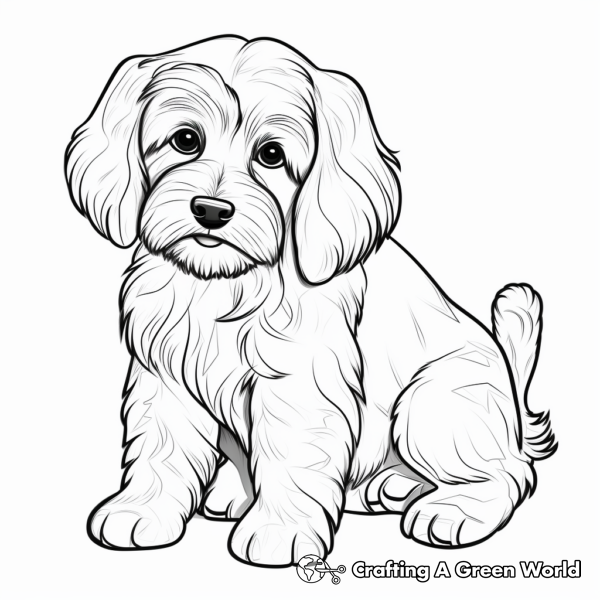 Havanese Coloring Pages - Free & Printable!