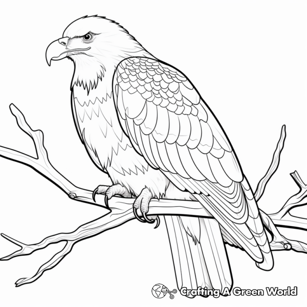 Feather Coloring Pages - Free & Printable!