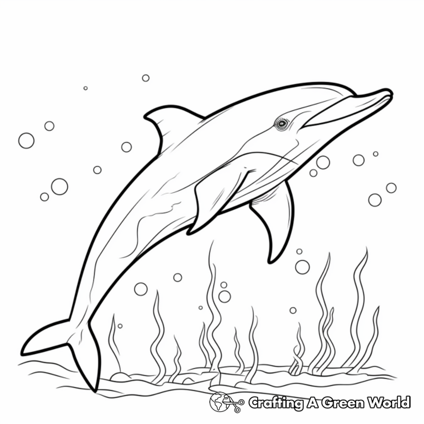Dolphin Coloring Pages - Free & Printable!