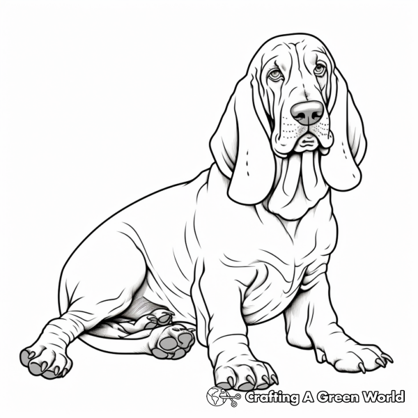 Basset Hound Coloring Pages - Free & Printable!