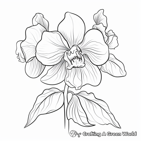 Big Flower Coloring Pages - Free & Printable!