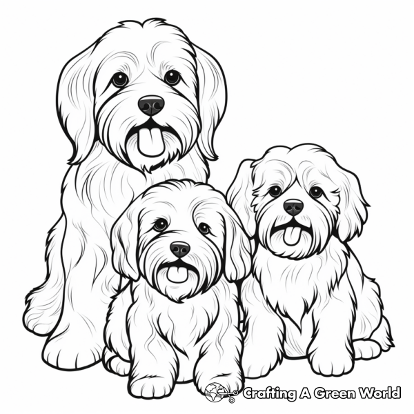 Havanese Coloring Pages - Free & Printable!