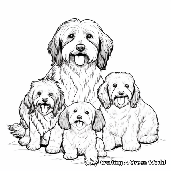 Havanese Coloring Pages - Free & Printable!