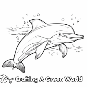 Dolphin Coloring Pages - Free & Printable!