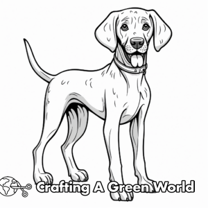 German Shorthaired Pointer Coloring Pages - Free & Printable!