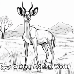 Gazelle Coloring Pages - Free & Printable!