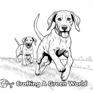 German Shorthaired Pointer Coloring Pages - Free & Printable!