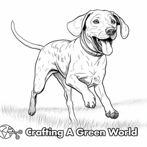German Shorthaired Pointer Coloring Pages - Free & Printable!