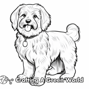 Havanese Coloring Pages - Free & Printable!