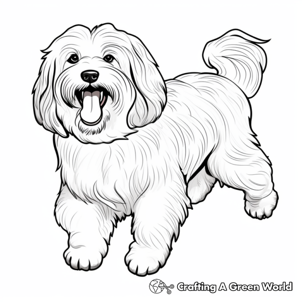 Havanese Coloring Pages - Free & Printable!