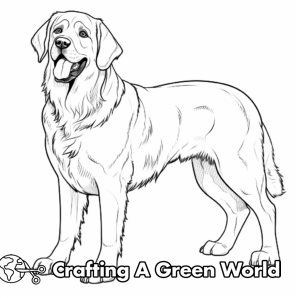 St Bernard Coloring Pages - Free & Printable!