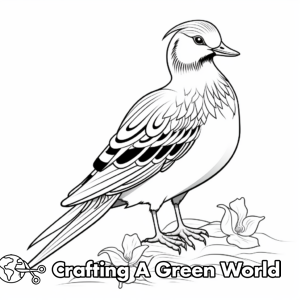 Duck Coloring Pages - Free & Printable!