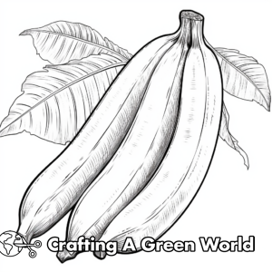 Banana Coloring Pages - Free & Printable!