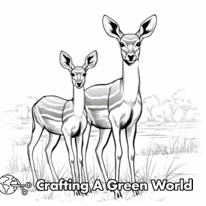 Gazelle Coloring Pages - Free & Printable!