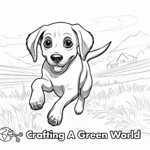Black Lab Coloring Pages - Free & Printable!