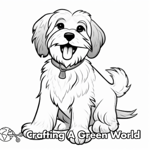 Havanese Coloring Pages - Free & Printable!