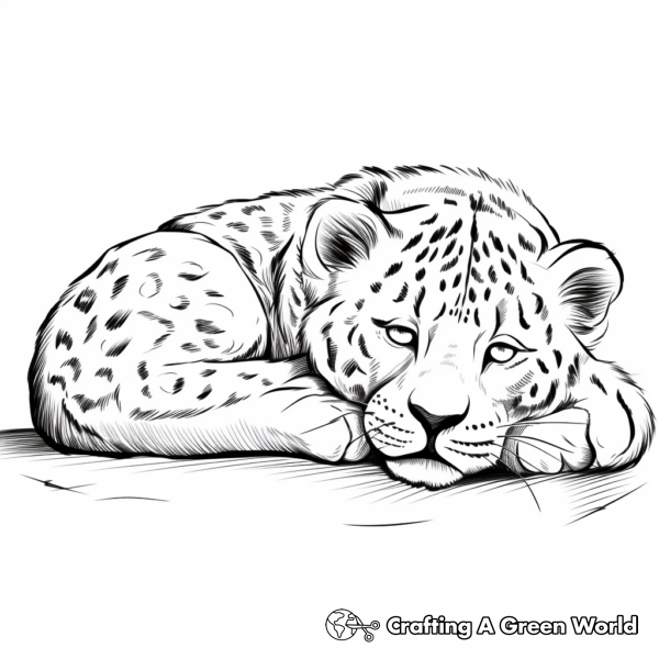 Snow Leopard Coloring Pages - Free & Printable!