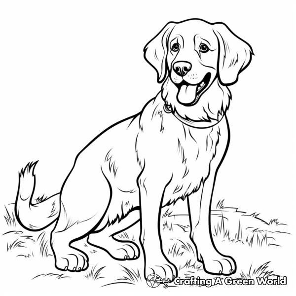 St Bernard Coloring Pages - Free & Printable!