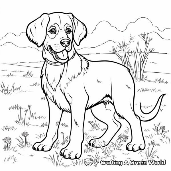 St Bernard Coloring Pages - Free & Printable!