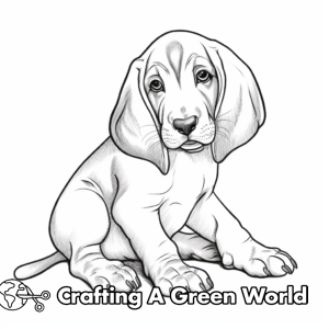 Basset Hound Coloring Pages - Free & Printable!