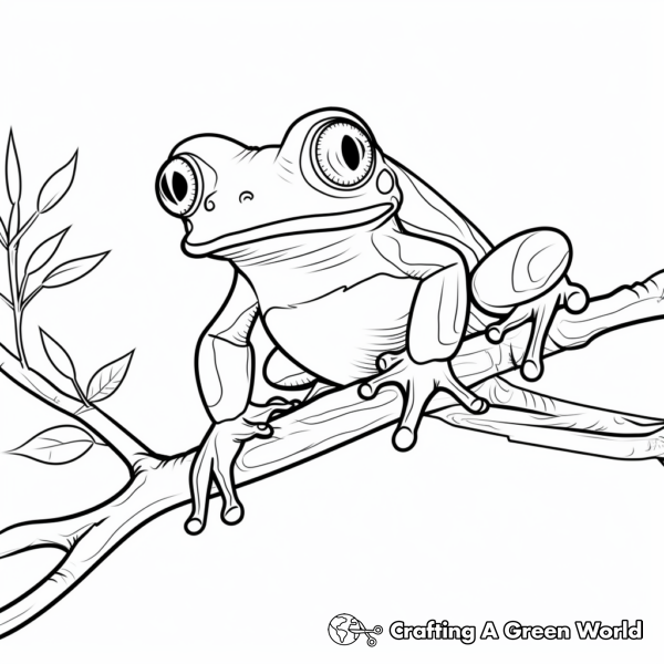 Tree Frog Coloring Pages - Free & Printable!